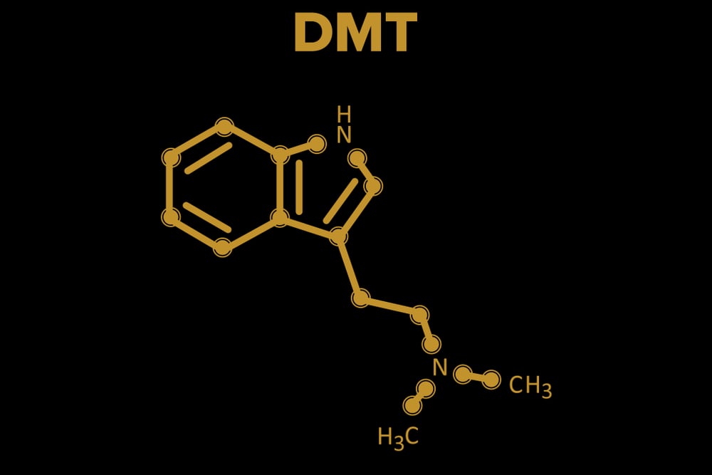 DIMETHYLTRYPTAMINE (DMT) – Healthstone Glass